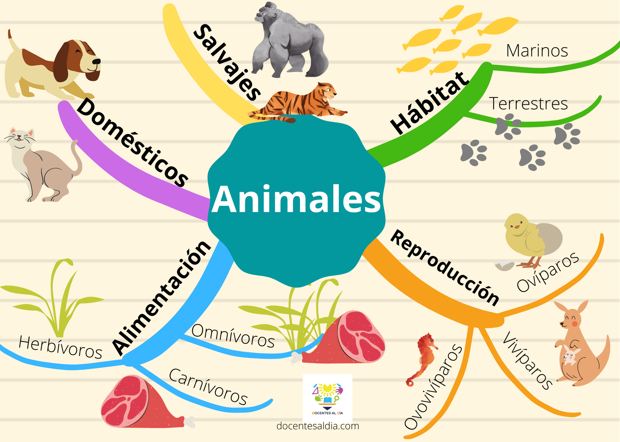 Cómo Hacer Un Mapa Mental Guía Paso A Paso Y Ejemplos Editables