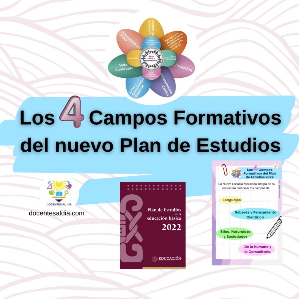 Los 4 Campos Formativos Del Nuevo Plan De Estudios